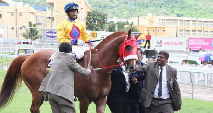 Turf: Zip It Case Referred to the Police